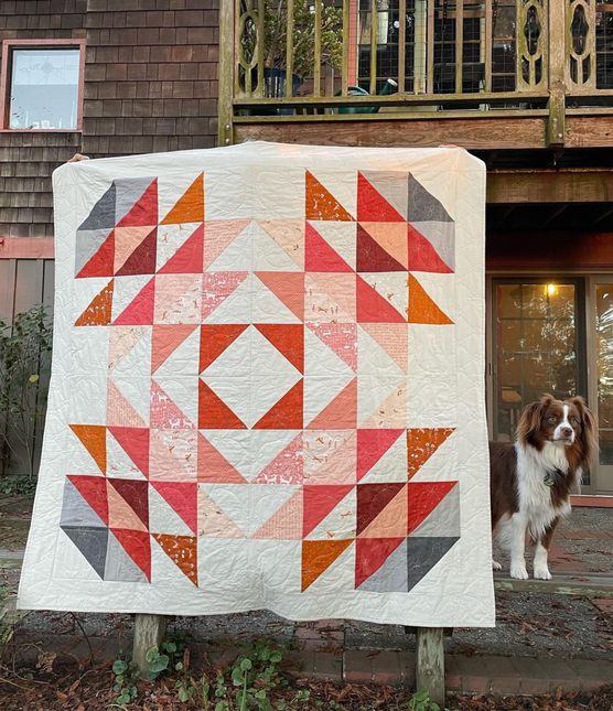 Calico Swing quilt pattern – Denyse Schmidt Quilts